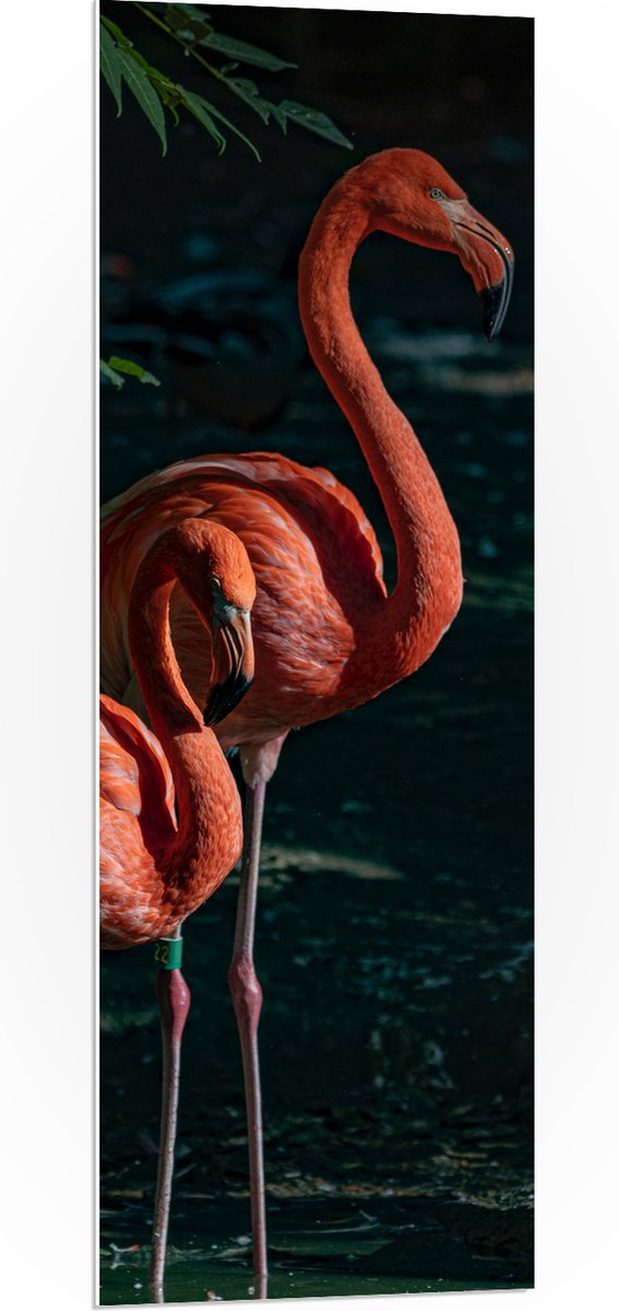 WallClassics - Plaque Mousse PVC - Duo Flamingo entre Branches Vertes ...