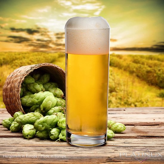 Hoge bierglazen 500 ml (max. 630 ml) set 6-delig glas Koolglas groot... | bol