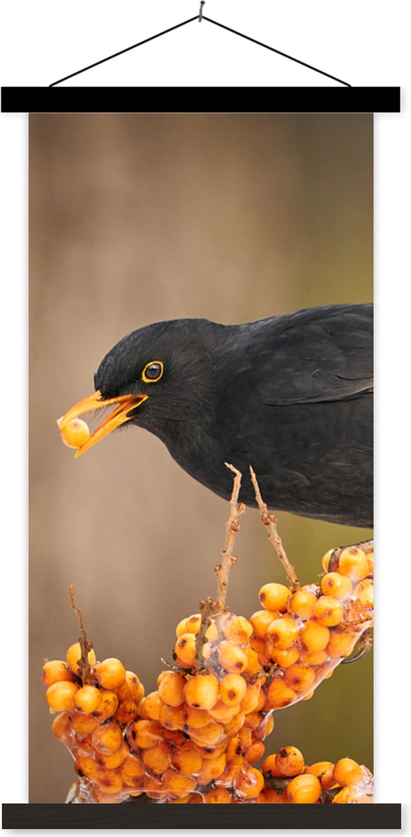 Porte-affiche avec affiche - Affiche scolaire - Vogel - Merle - Hiver ...