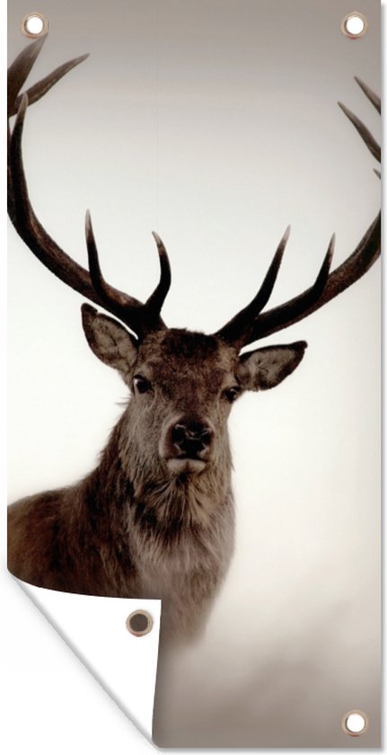 Wanddecoratie buiten Portret - Hert - Gewei - 80x160 cm | bol.com