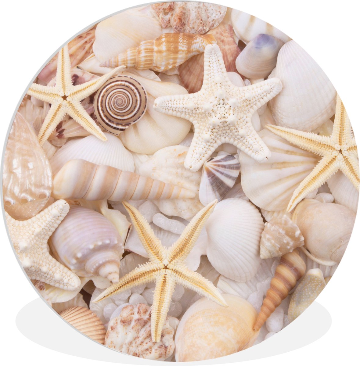 WallCircle - Cercle mural - Cercle mural - Coquillages - Perles ...