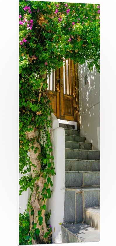 WallClassics - PVC Schuimplaat - Boog van Bloemen - 50x150 cm Foto op ...