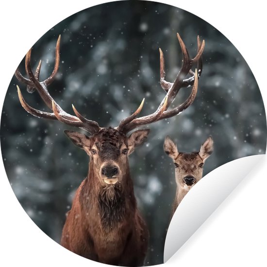 Behangcirkel - Zelfklevend behang - Hert - Sneeuw - Dieren - Winter ...
