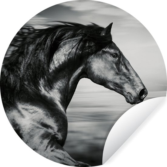 WallCircle - Behangcirkel - Zelfklevend behang - Dieren - Paard - Natuur - Zwart wit -... | bol