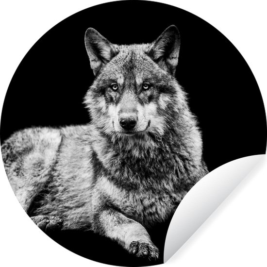 Behangcirkel - Wilde dieren - Wolf - Zwart - Wit - Zelfklevend behang - 80x80 cm -... | bol