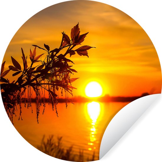Behangcirkel - Zon - Water - Tak - Bladeren - Zelfklevend behang ...