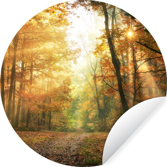 Behangcirkel - Zelfklevend behang - Behangsticker - Bos - Rood - Natuur -... | bol