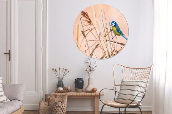 Behangcirkel - Vogel - Pimpelmees - Veren - Riet - Natuur - Zelfklevend behang -... | bol.com