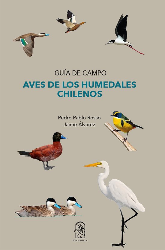 Aves de los humedales chilenos (ebook), Pedro Pablo Rosso | 9789561430372 | Boeken | bol.com