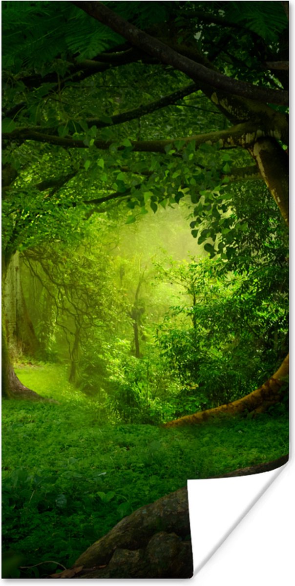 Poster Bomen - Bos - Groen - Landschap - Natuur - 20x40 cm | bol
