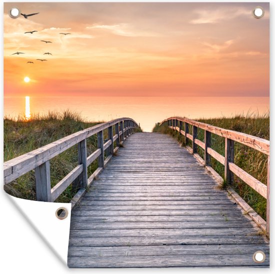 Toile de jardin Sunset - Mer - Chemin - Herbe - Dune - Vogels - 100x100 ...
