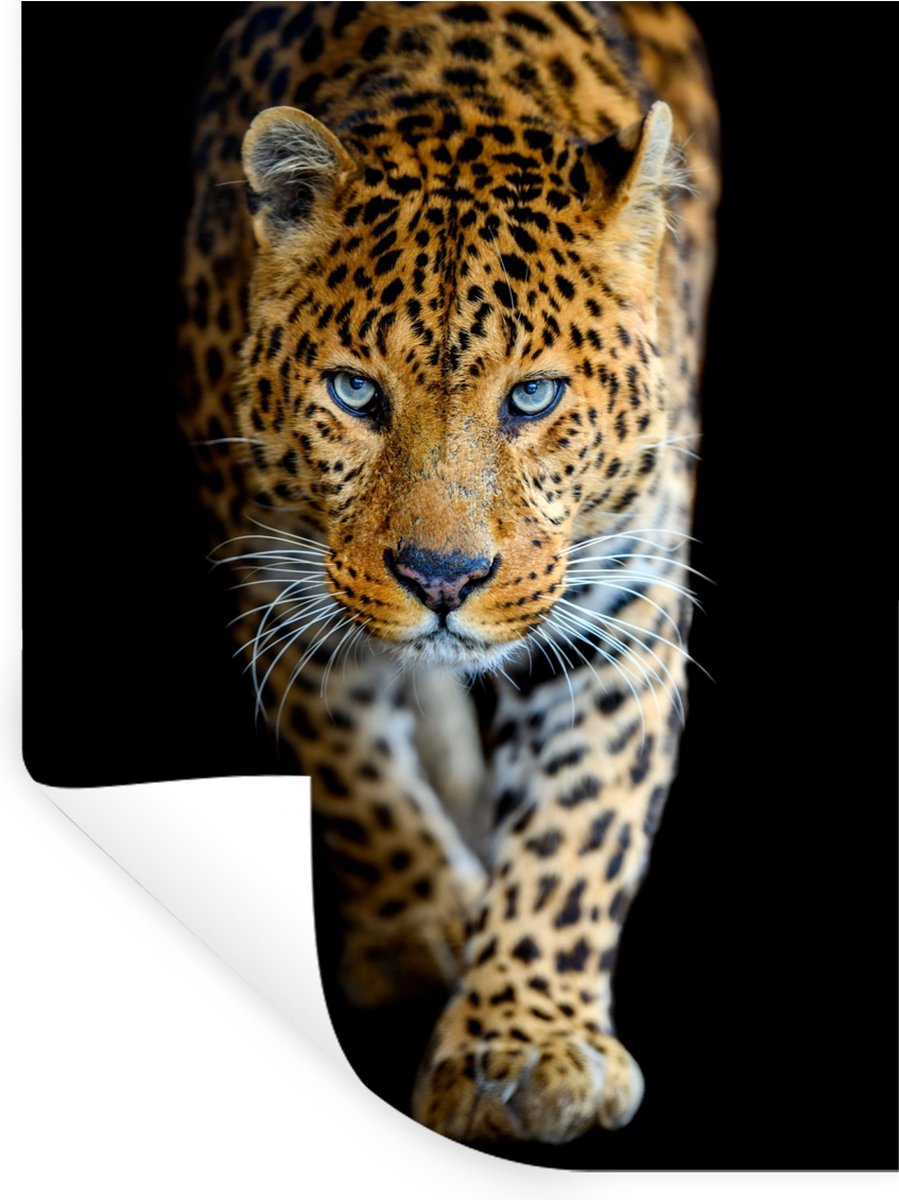 Muurstickers - Sticker Folie - Luipaard - Dieren - Portret - Wilde dieren - Zwart -... | bol.com