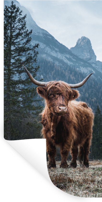 Stickers muraux - Sticker Foil - Scottish Highlander - Berg - Paysage ...