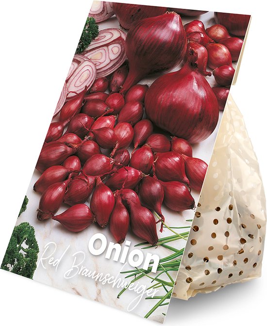 Bloomique - 125 Stuks - Stuttgarter Riesen Uien - Rode Ui - Pootuitjes ...