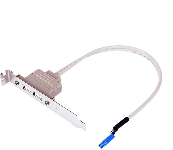 Verlengconnector voor moederbord - USB-kabel Hostadapter - 2 USB-interfaces - 9-pins... | bol