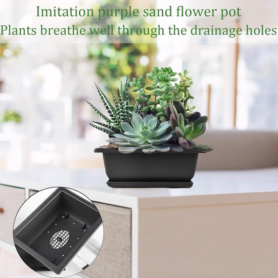 Bonsai Training Potten met Dienblad - Set van 3 - Plastic Groeipot voor ...
