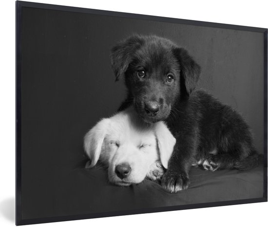 Fotolijst incl. Poster - Honden - Puppy - Zwart - Wit - Dieren - 30x20 ...