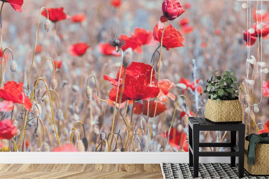 Fotobehang Klaprozen Weide Vintage | bol