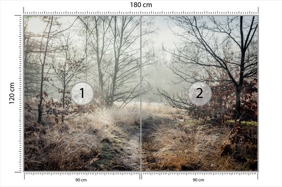 Fotobehang Bos In Mist | bol