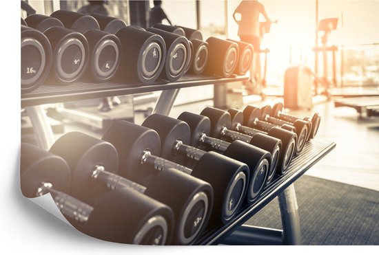 Fotobehang Halters In De Sportschool 3D - Vliesbehang - 460 x 300 cm | bol