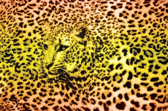 Fotobehang - Vlies Behang - Panterprint - Luipaardprint - Panter - Luipaard - 254 x 184 cm | bol