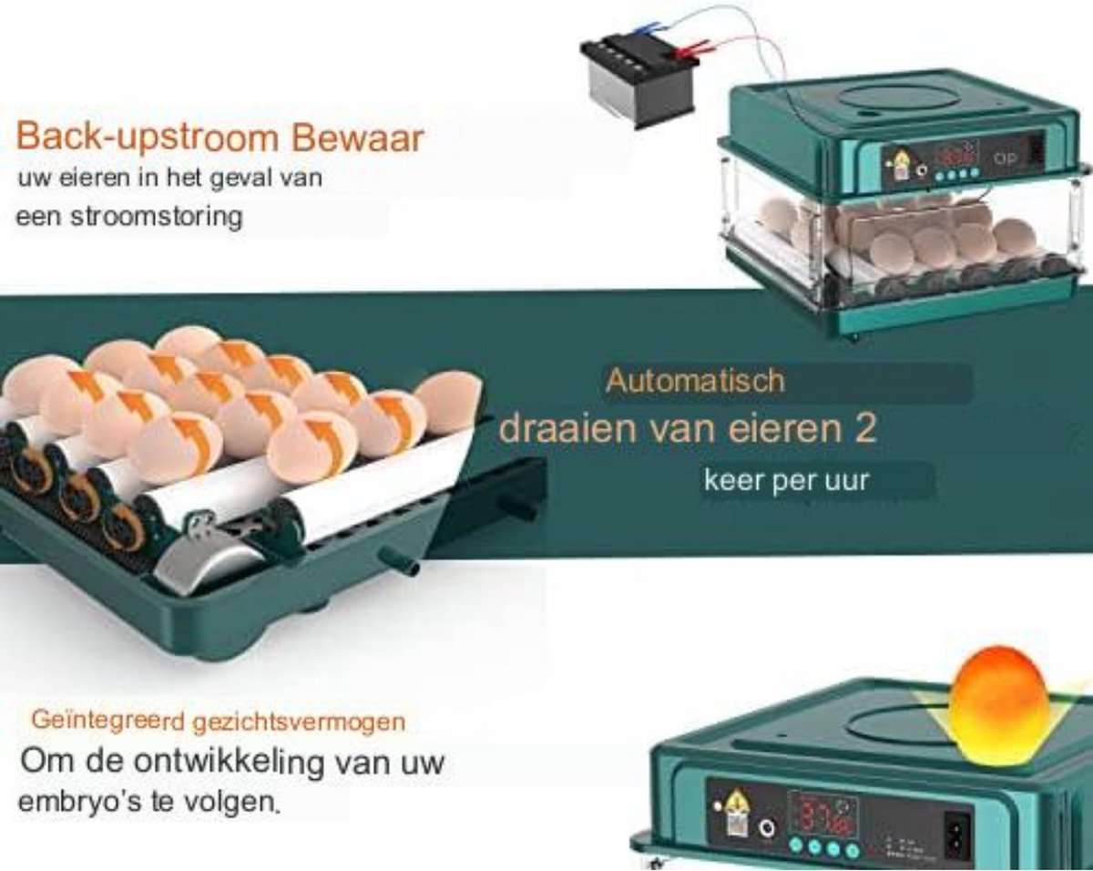 Broedmachine voor eieren - Broedmachine Automatisch - Incubator - Broedmachine Voor Kippen | bol.com