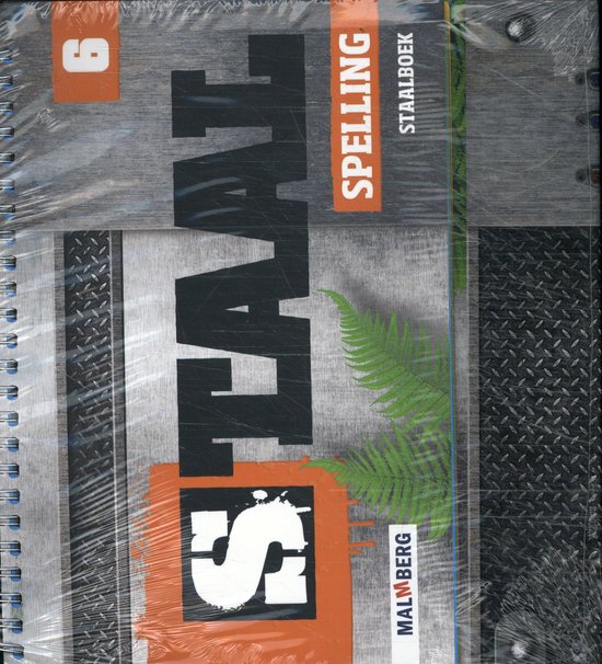 Staal groep 6 spelling staalboek | 9789034581341 | Schraven | Boeken | bol