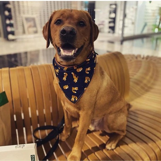 Foxes Dog Bandana - Dimples | bol
