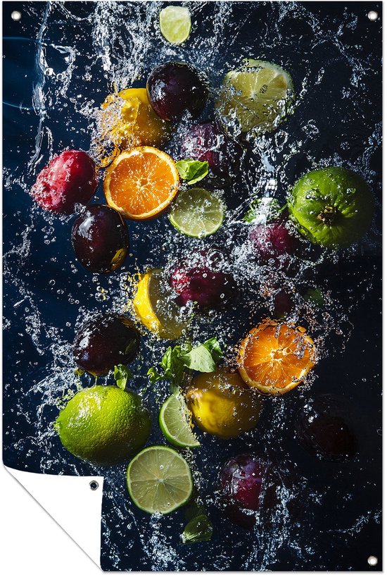 Tropische vruchten onder water - Fruit tuindecoratie - Tuinversiering ...