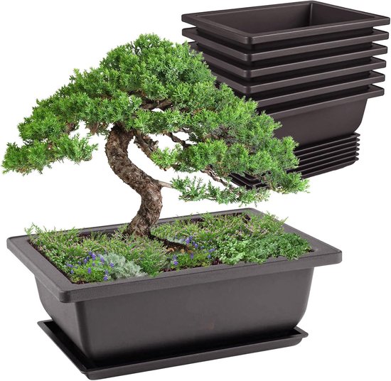 Bonsai Schalen Set van 6, Herbruikbare Kunststof Potten met Dienblad ...