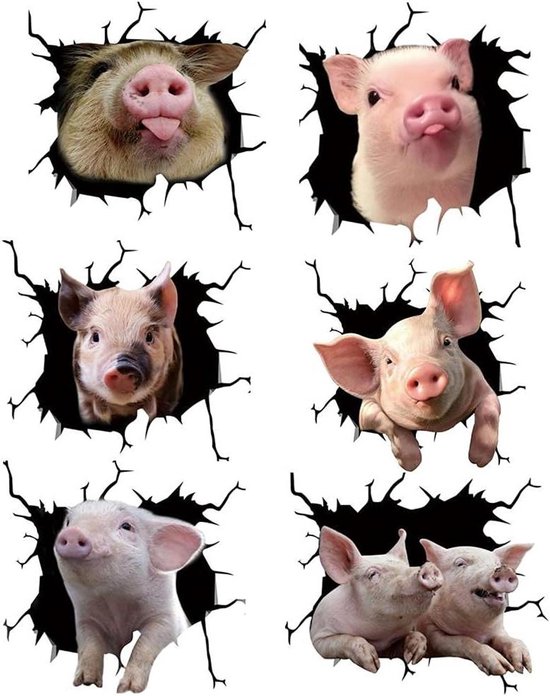 6 stuks Varkentjesstickers voor autoramen - Kapot Varken Dier ...