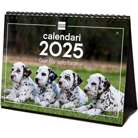Bureau Kalender 2025 - Bureaukalender 2025 Staand - Bureau Kalender ...