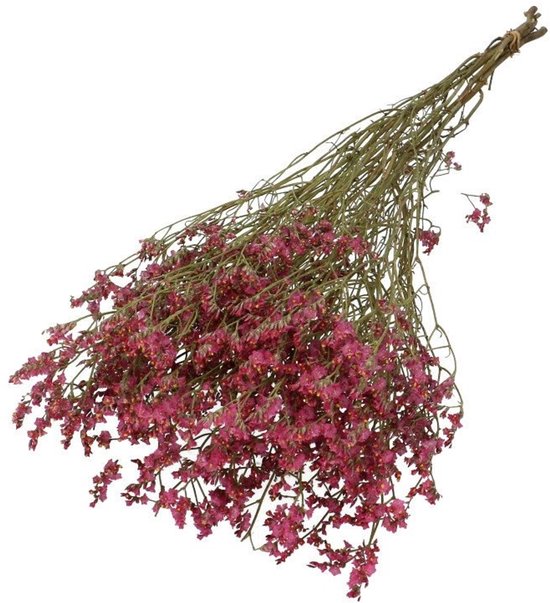 Donker roze gedroogde Limonium Diamond | Statice droogbloemen | Lengte ...