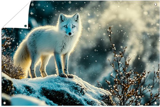 Poolvos in besneeuwde natuur - Vos tuinprints - Tuinmuurdecoratie ...