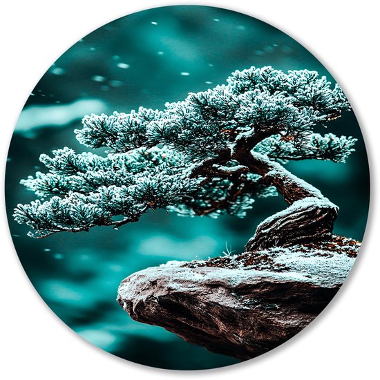 Sneeuw bonsai op rots - Bonsai muurdecoratie rond - Ronde wandprint ...