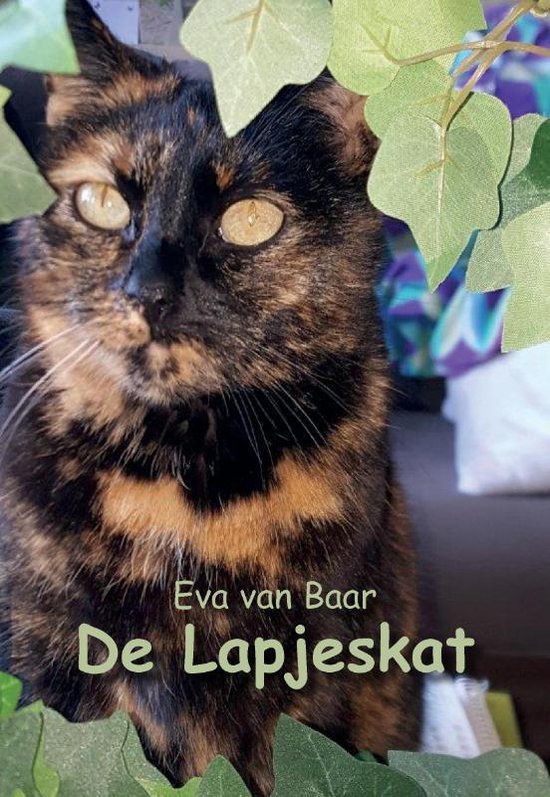 De Lapjeskat, Eva van Baar | 9789463453288 | Boeken | bol.com