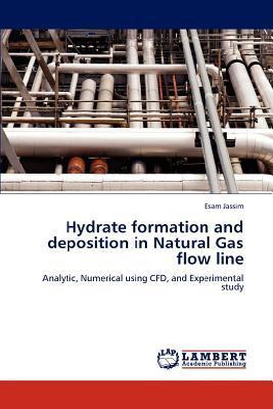 Hydrate Formation and Deposition in Natural Gas Flow Line | 9783847319306 | Esam... | bol