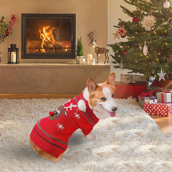 Pull De Noel Pour Chien