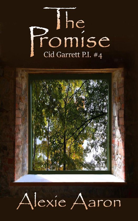 Cid Garrett P.I. 4 - The Promise (ebook), Alexie Aaron | 1230003457689 ...