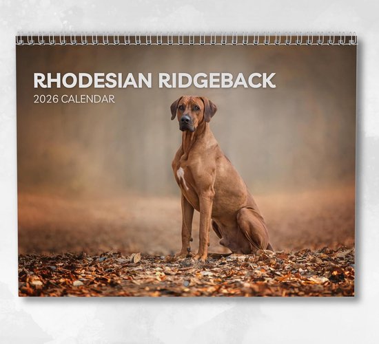 Hondenkalender 2026: Maandkalender met Lijst voor Notities, A4 Formaat ...
