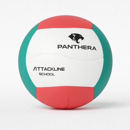 Panthera - Volleybal - Attackline school - BV500 - Set van 10 ballen ...
