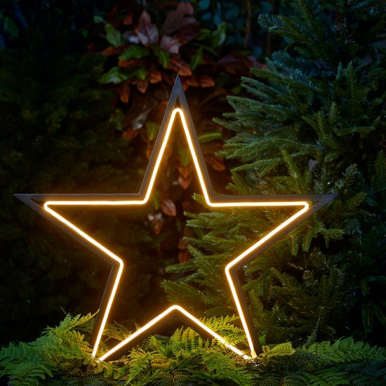 Luca Lighting Garden d'Light Ster Tuinsteker met Warm Witte LED ...