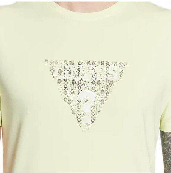 Logo Geo Triangle | bol