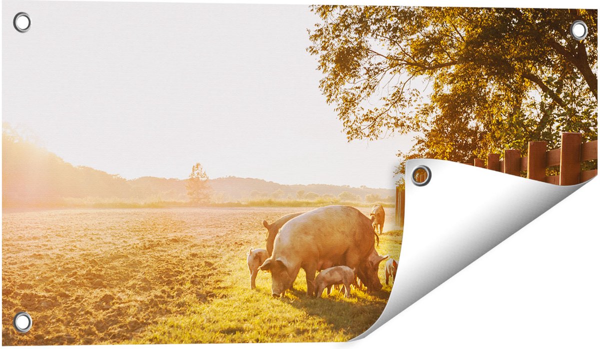 Gards Tuinposter Varken Familie - Varkens - 60x30 cm - Tuindoek ...