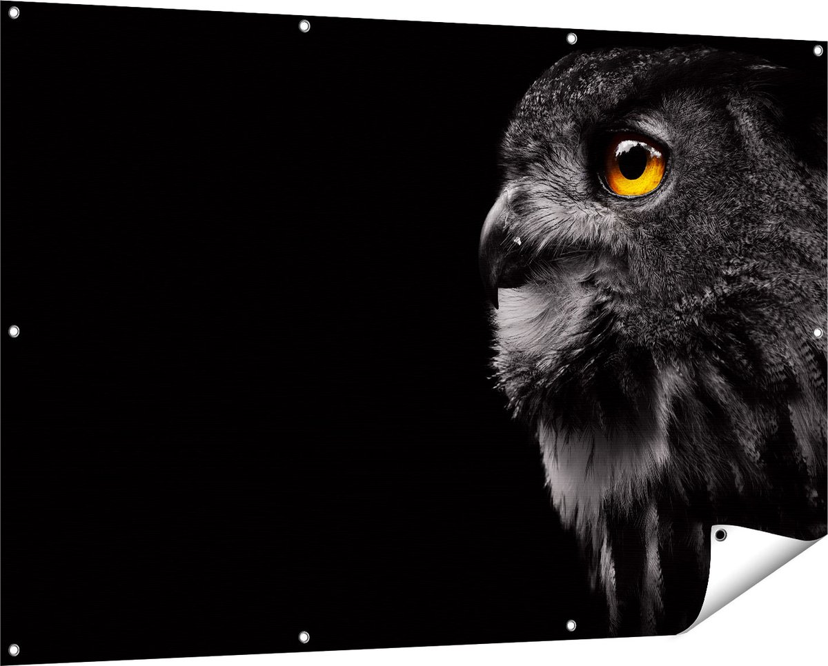 Gards Tuinposter Zwarte Uil met Gouden Ogen - 150x100 cm - Tuindoek ...