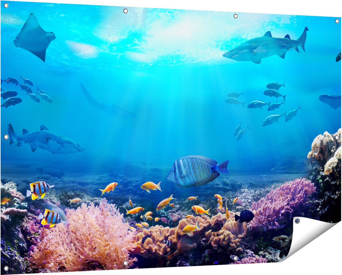 Gards Tuinposter Vissen met Haaien in de Oceaan met Koraalrif - 150x100 ... Gards Tuinposter Vissen met Haaien in de Oceaan met Koraalrif - 150x100 ...