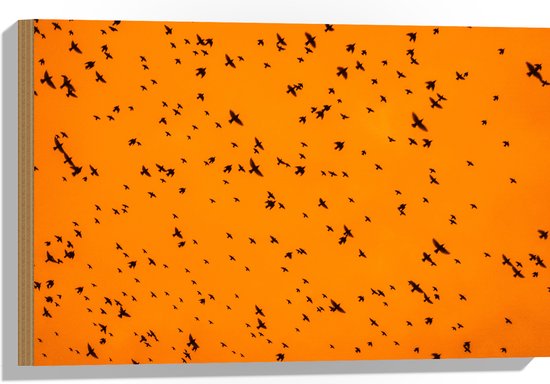 Hout - Gele Lucht Vol met Trekkende Vogels - 60x40 cm - 9 mm dik - Foto ...
