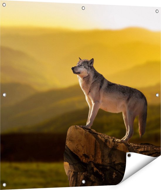Gards Tuinposter Wolf op een Rots met een Heuvel Landschap - 90x90 cm ...
