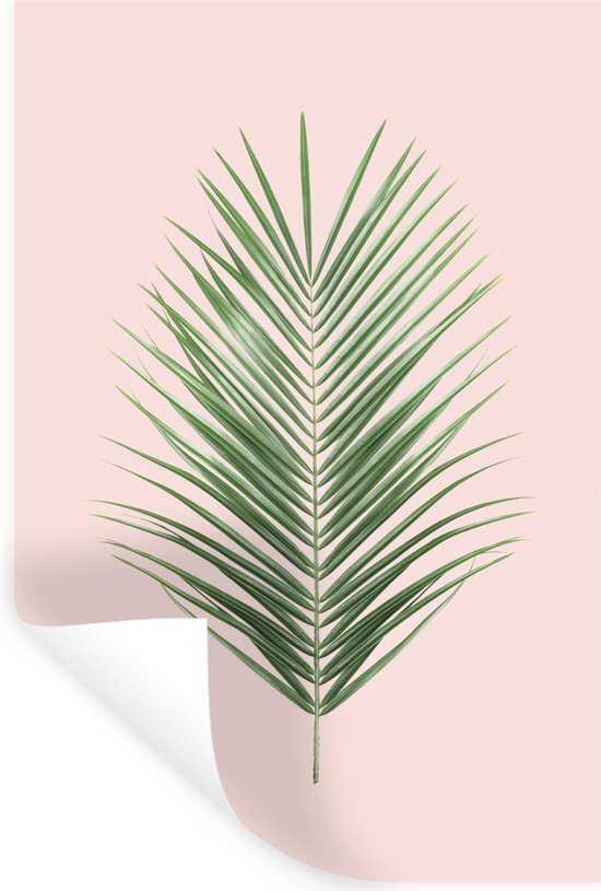 Plant - Groen - Roze - Natuur | bol.com