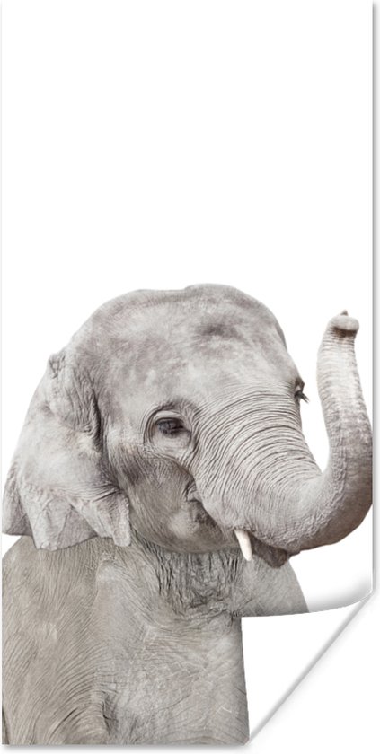 Poster Olifant - Dieren - Grijs - Natuur - 60x120 cm | bol